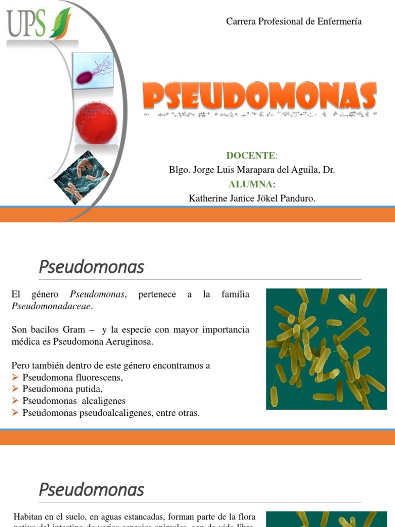 Pseudomonas | PDF | Pseudomonas | Microbiología