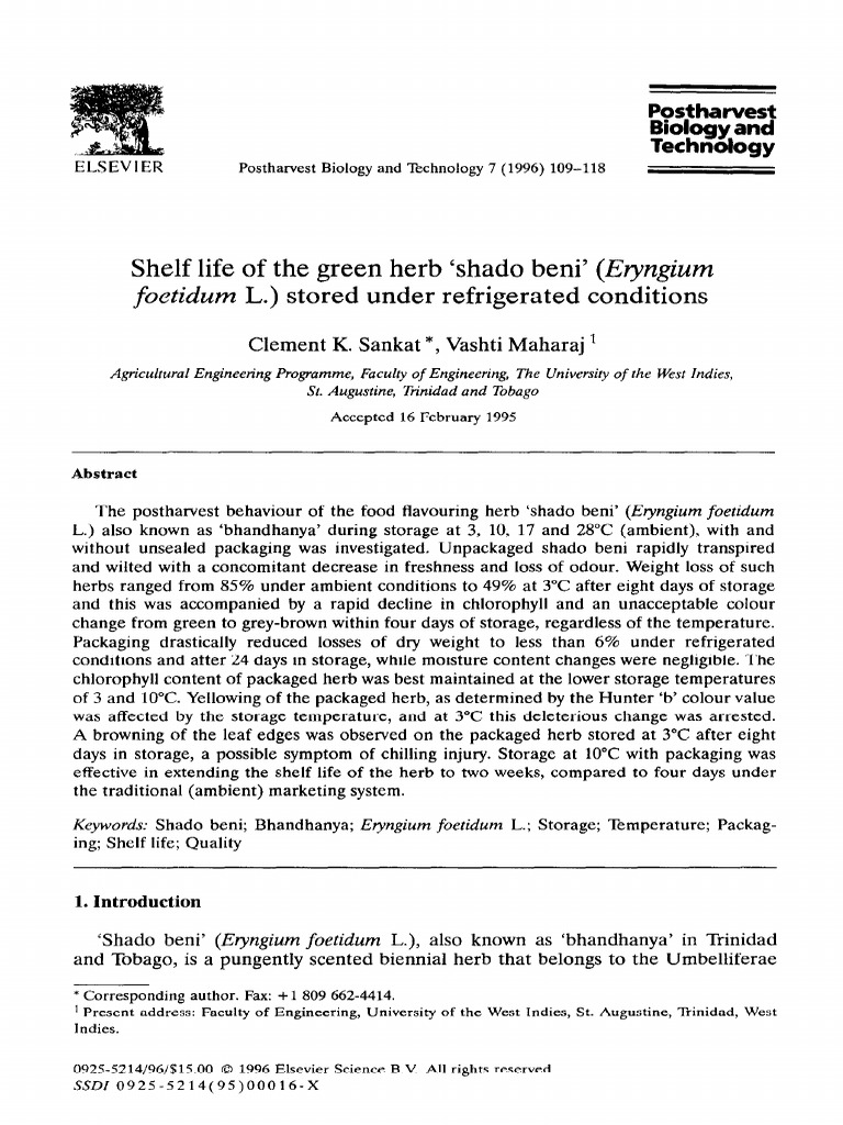 Shelf Life of Shado Beni Under Storage | PDF | Coriander ...