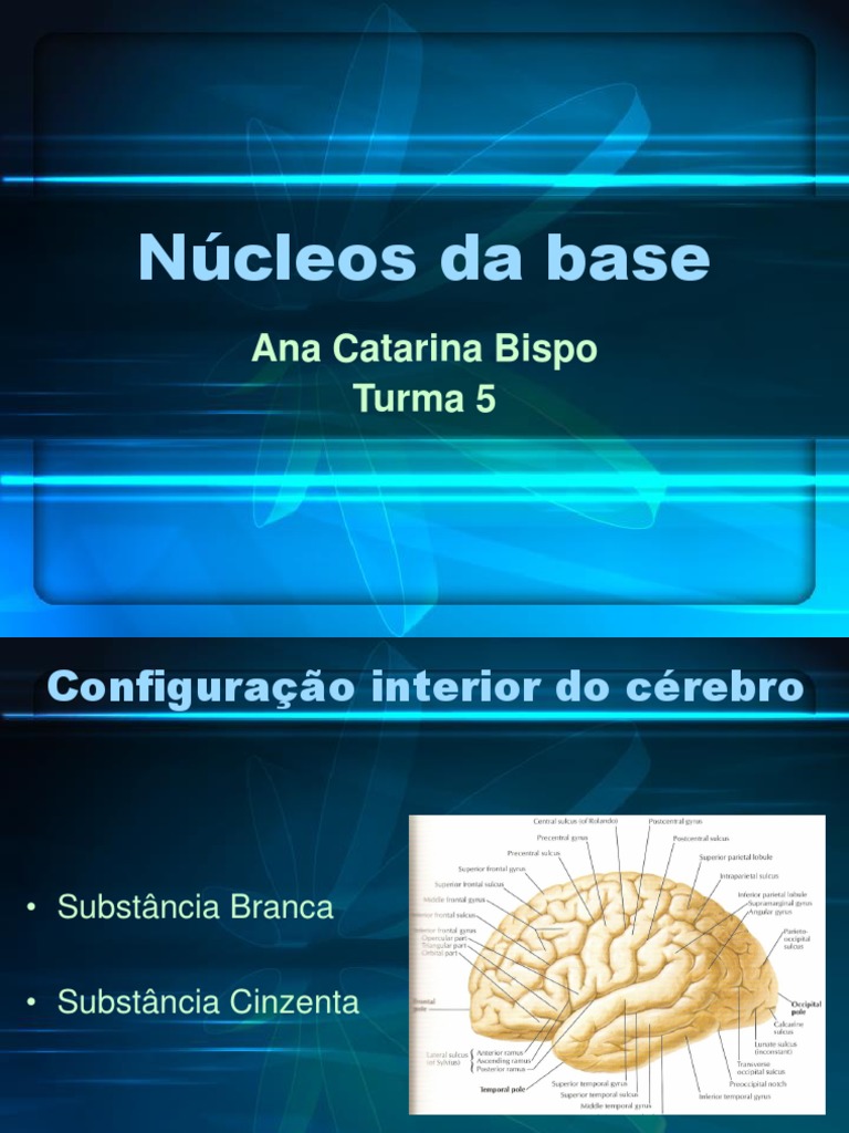 Núcleos Da Base | PDF | Gânglios Basais | Anatomia