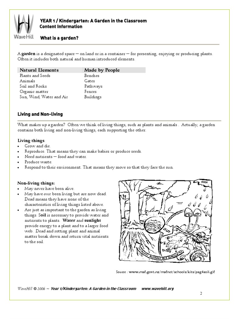Student Year 1-Kindergarten: A Garden in The Classroom | PDF ...