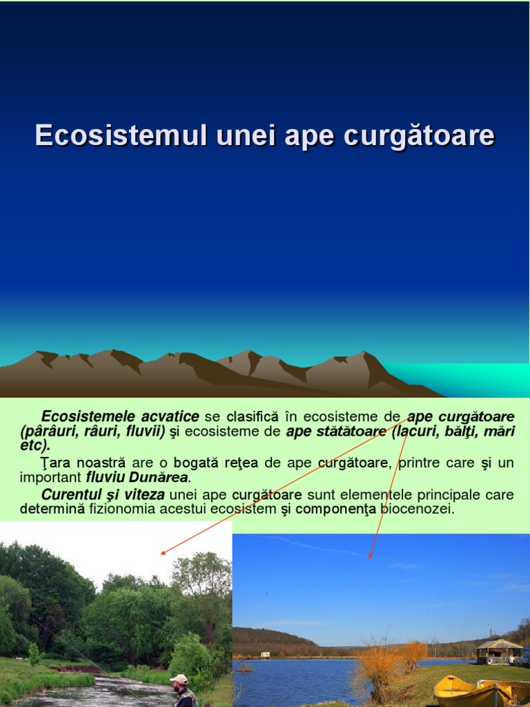 Lectie 78 Ecosistemul Unei Ape Curgatoare. Ecosistemul Unui Lac. | PDF