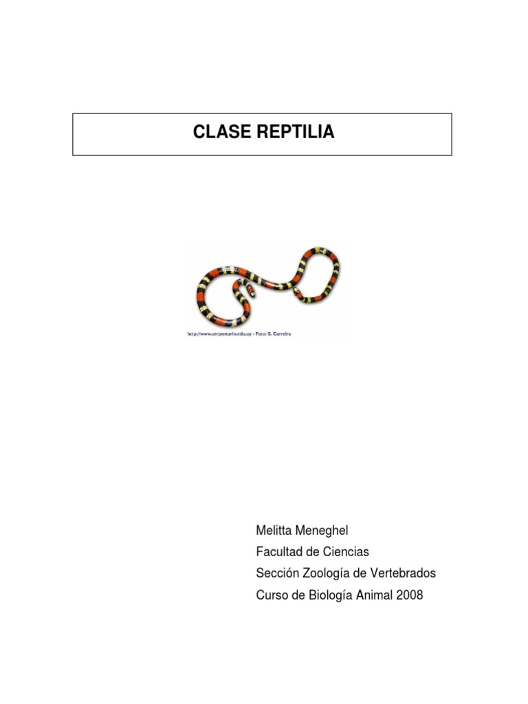 Clasificación y Características de Reptiles | PDF | Pulmón | Reptil