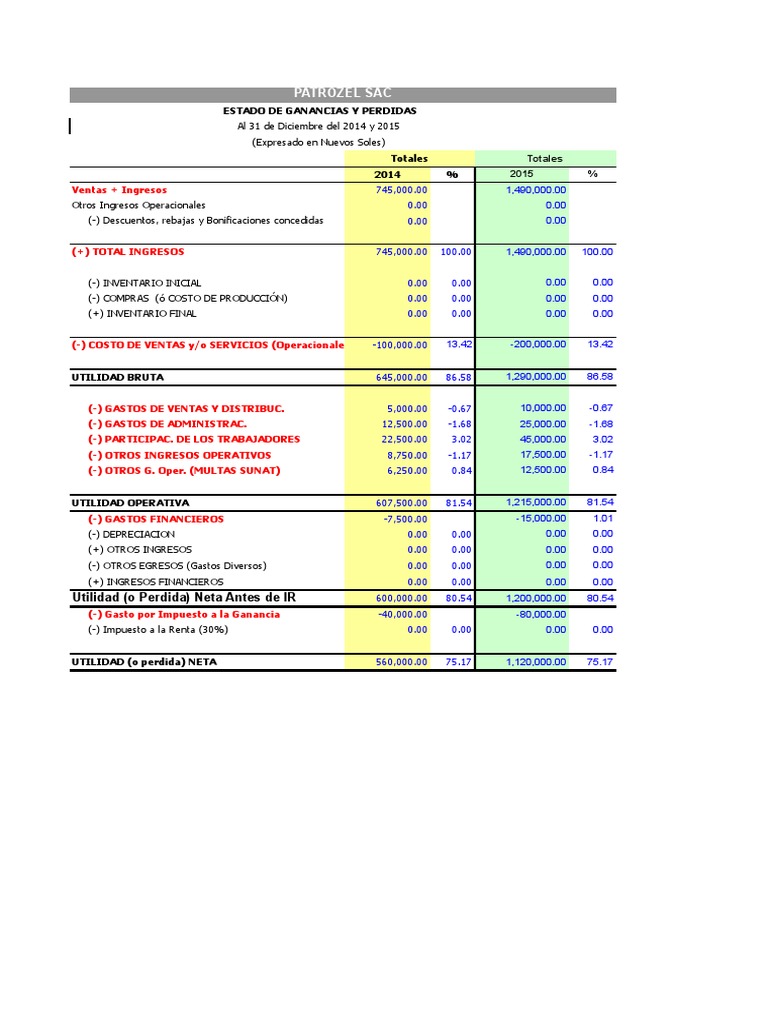 Estado Financiero Patroz 01 Final | PDF | Industrias de servicio | Hoja ...