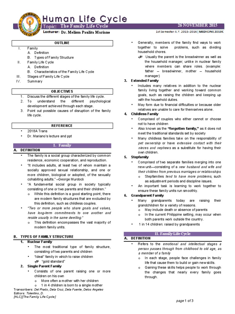 Family Life Cycle Overview | PDF | Parent | Relationships