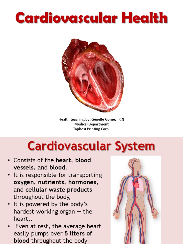 Understanding Primary Hypertension | PDF | Hypertension ...