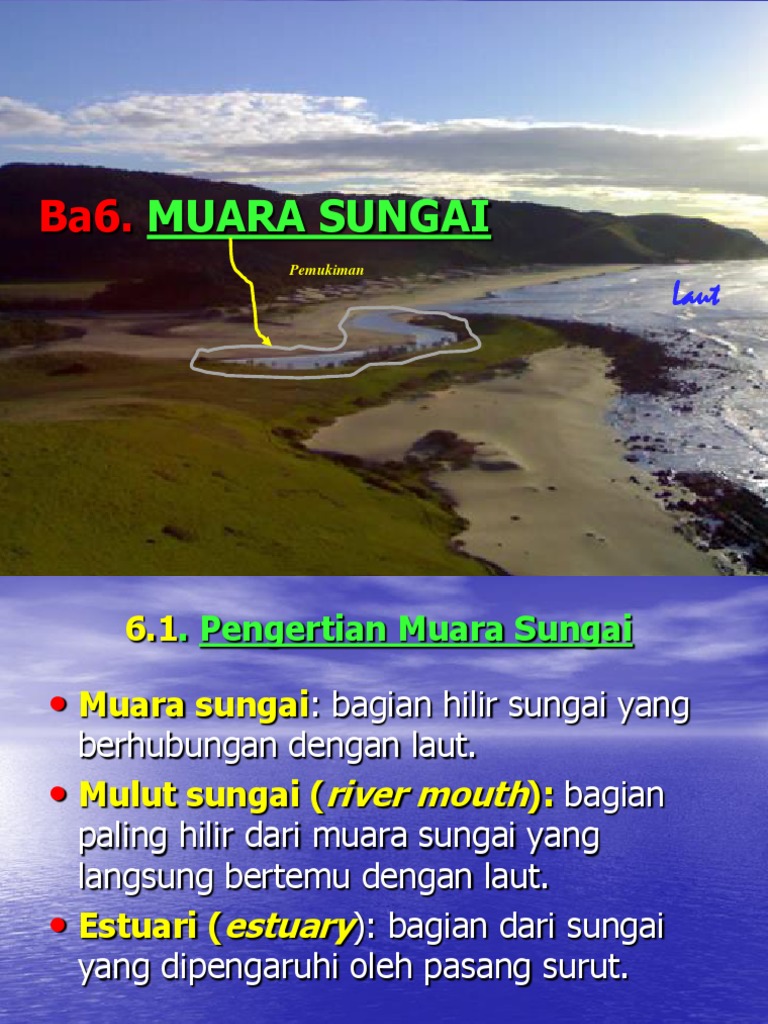 Pengertian dan Fungsi Muara Sungai | PDF | Ilmu Sosial | Perjalanan