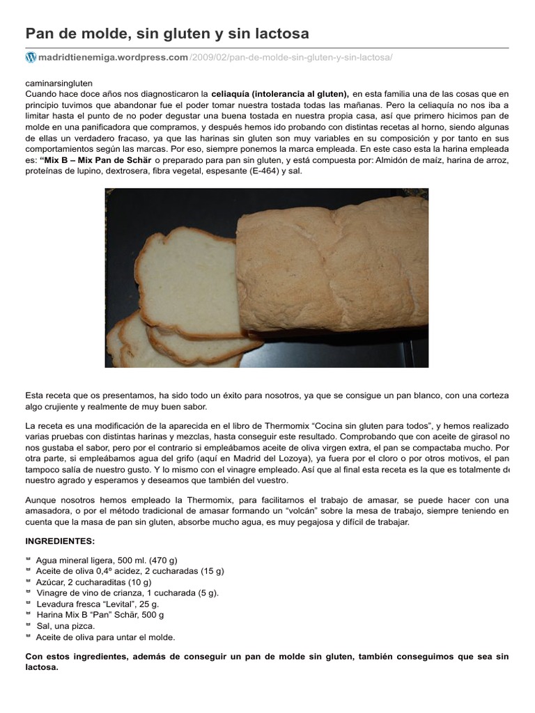 Pan De Molde Sin Gluten Y Sinlactosa Pdf Enfermedad Celíaca Panes