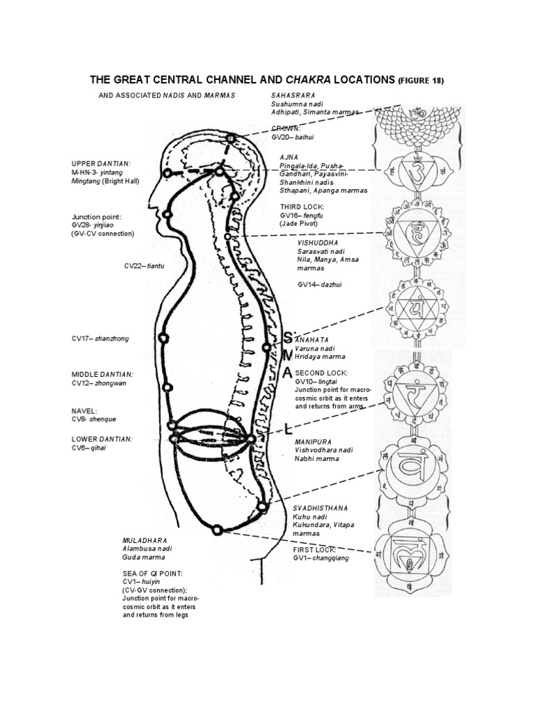 AYURVEDA Marma-Points-Chakras.pdf | Religion & Spirituality