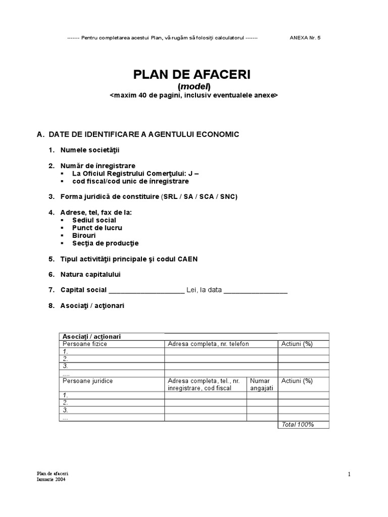 Macheta Pentru Planul de Afaceri | PDF