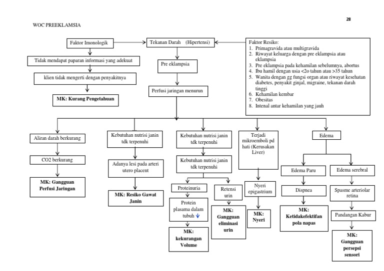 Patway Pre Eklampsia | PDF