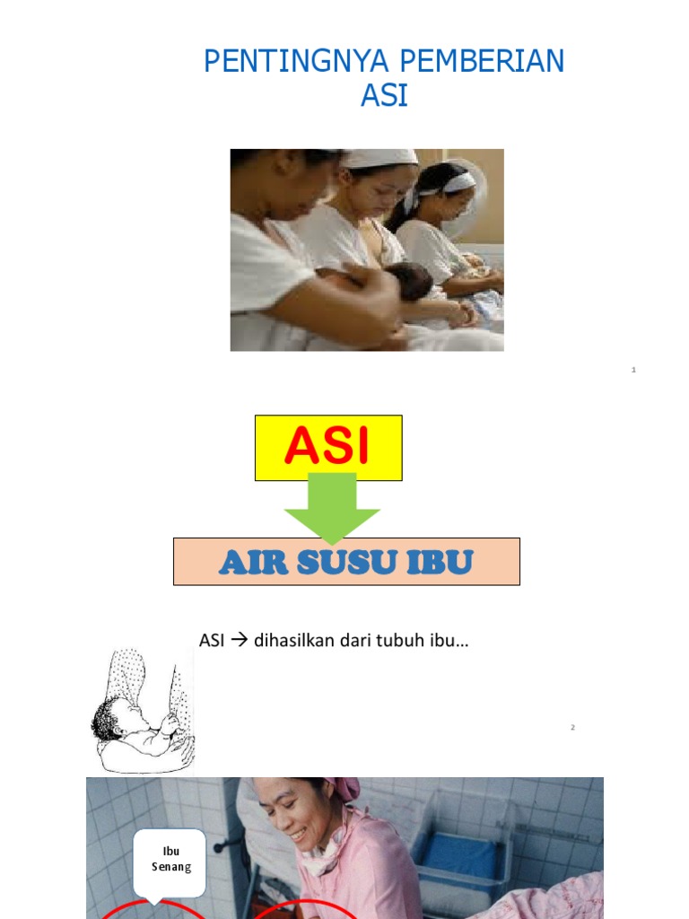 Pentingnya Pemberian Asi | PDF