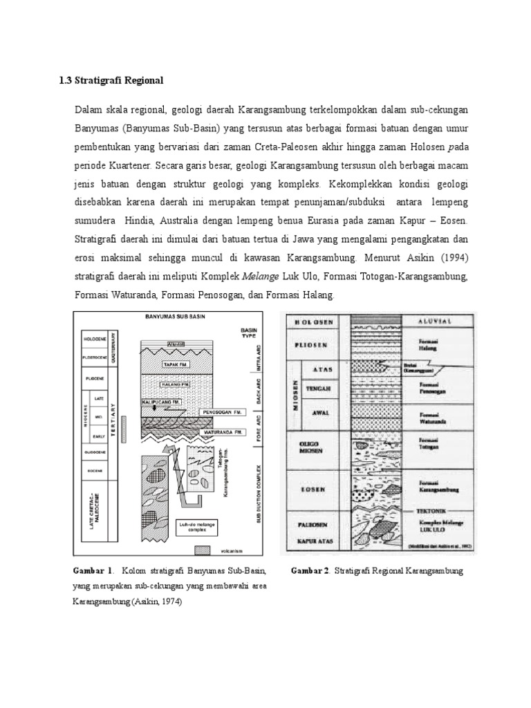 Stratigrafi Regional Karangsambung | PDF | Sains & Matematika | Sejarah