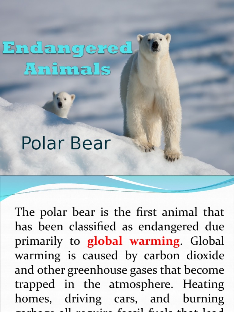 Endangered Animals | PDF
