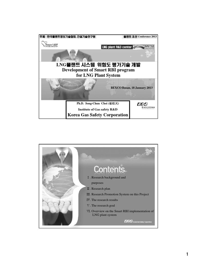 1 - Smart RBI Program For LNG Plant System | PDF | Risk Management | Risk