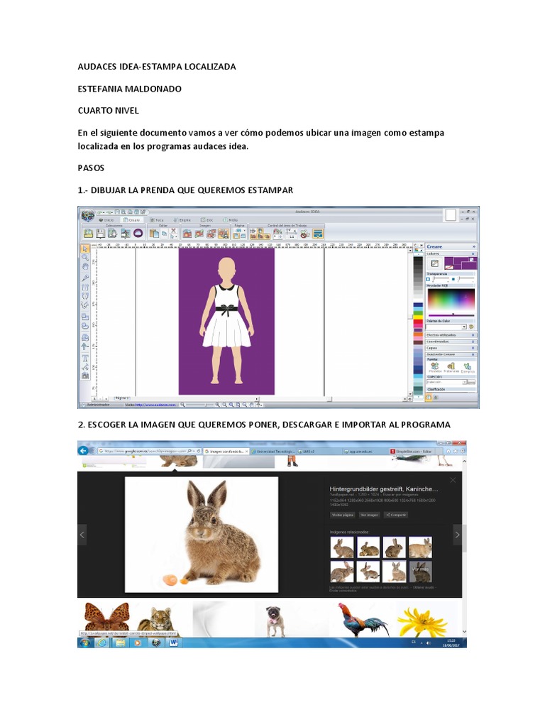 Audaces Idea | PDF
