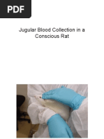 Cardiac Puncture Blood Collection Terminal | PDF