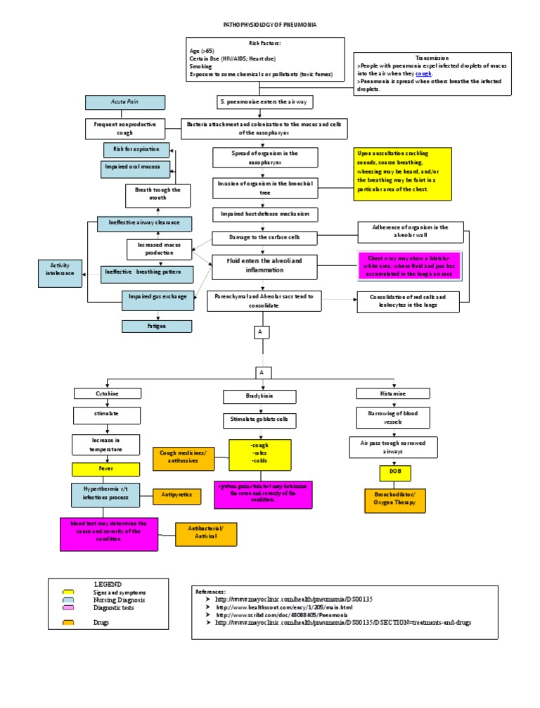 119227231-Pathophysiology-of-Pneumonia.docx | Pneumonia | Cough