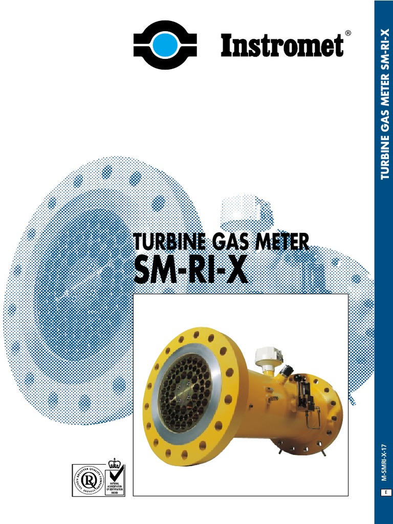 Elster SM Ri X L g250 | PDF | Natural Gas | Flow Measurement