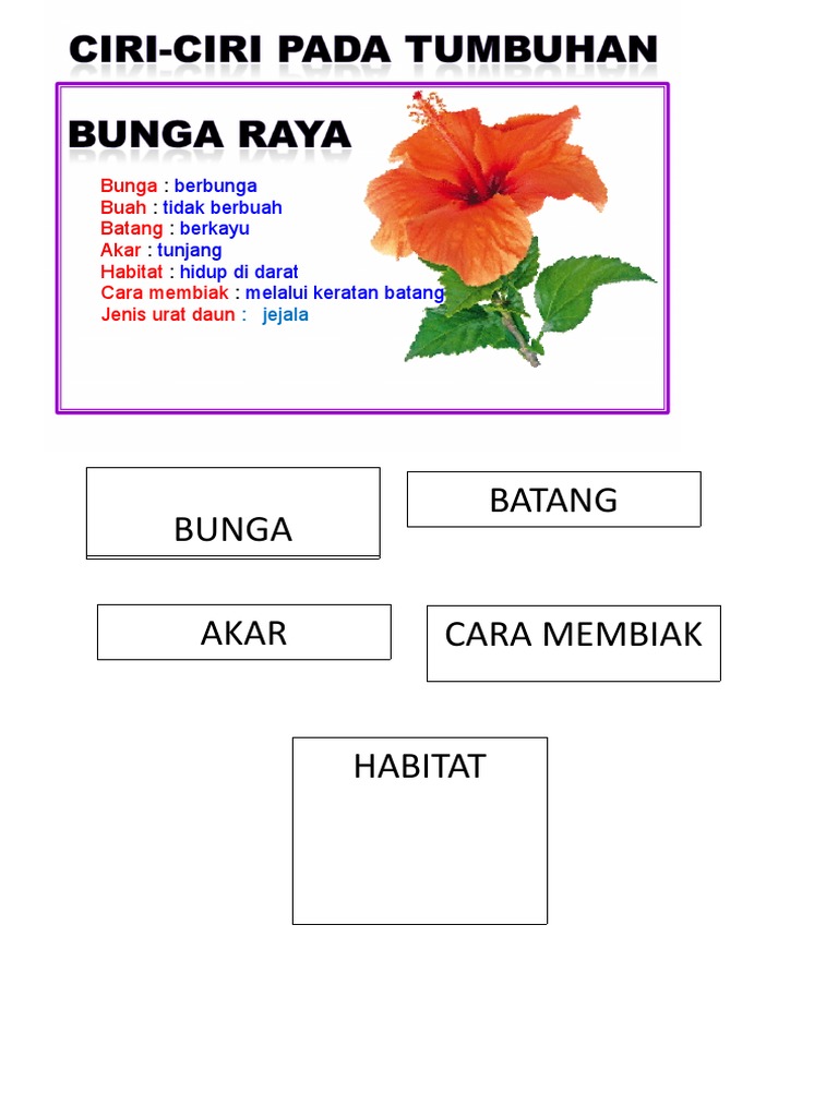 Ciri Bunga Raya | PDF