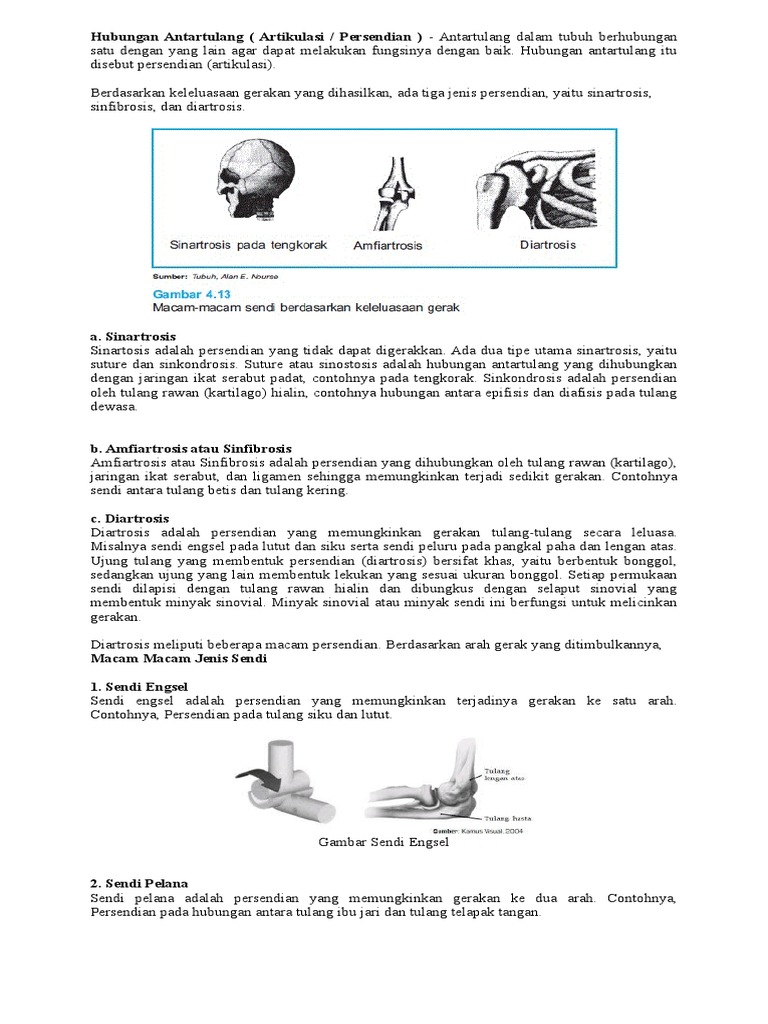 Jenis-Jenis Sendi Manusia | PDF