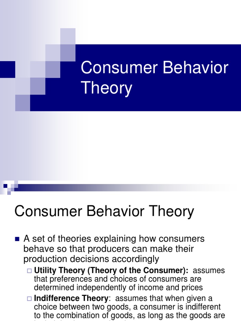 Consumer Behavior Theory - Notes | PDF | Utility | Economic Theories