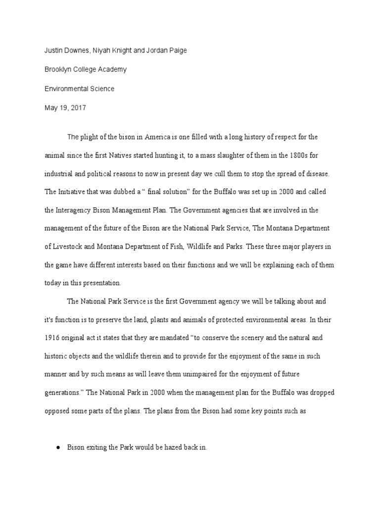 Buffalo Project | PDF | American Bison | Bison