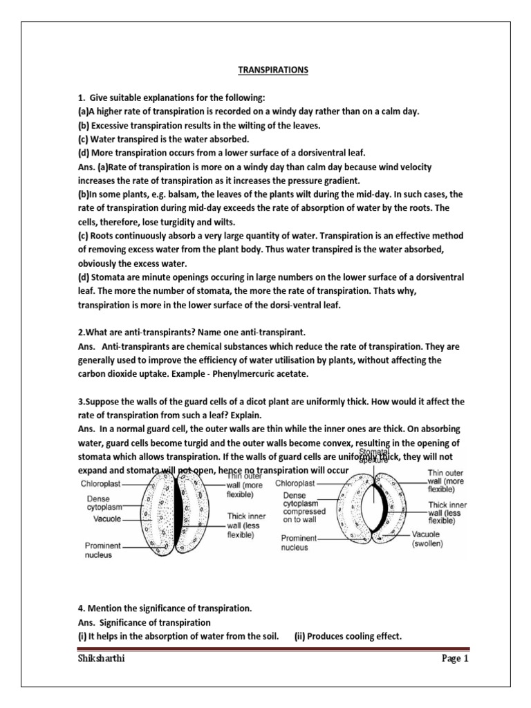 Transpiration Notes Class 10 | Stoma | Leaf