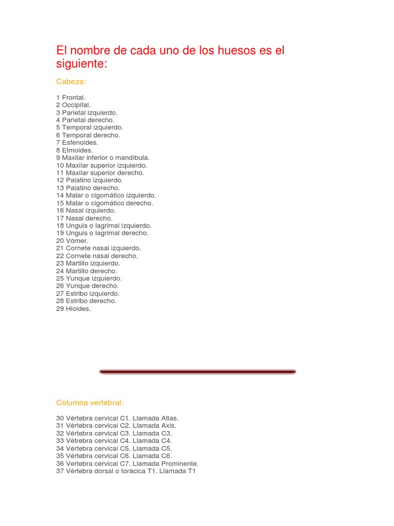 206 Huesos | PDF | Vértebra | Sistema musculoesquelético