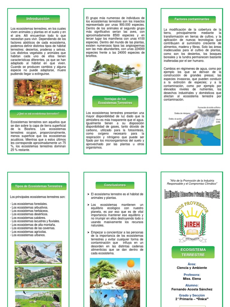Triptico Ecosistema Terrestre | PDF | Ecosistema | Suelo