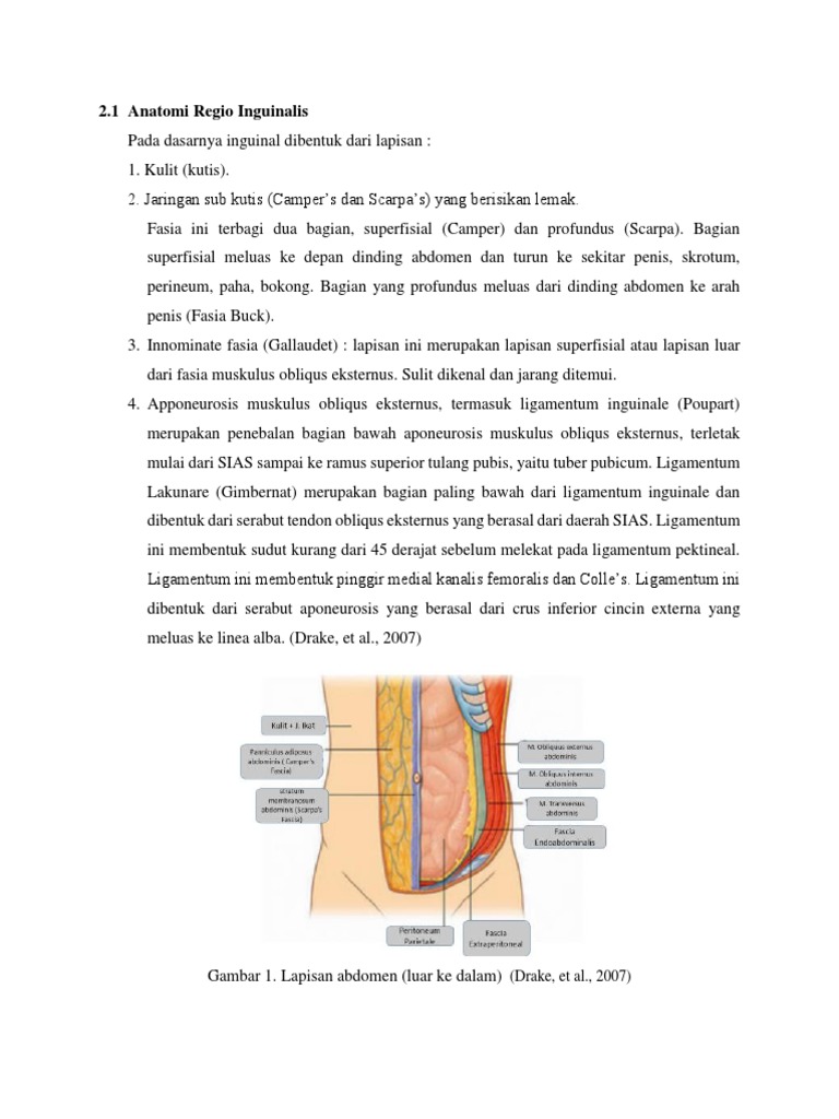 Anatomi Hernia | PDF