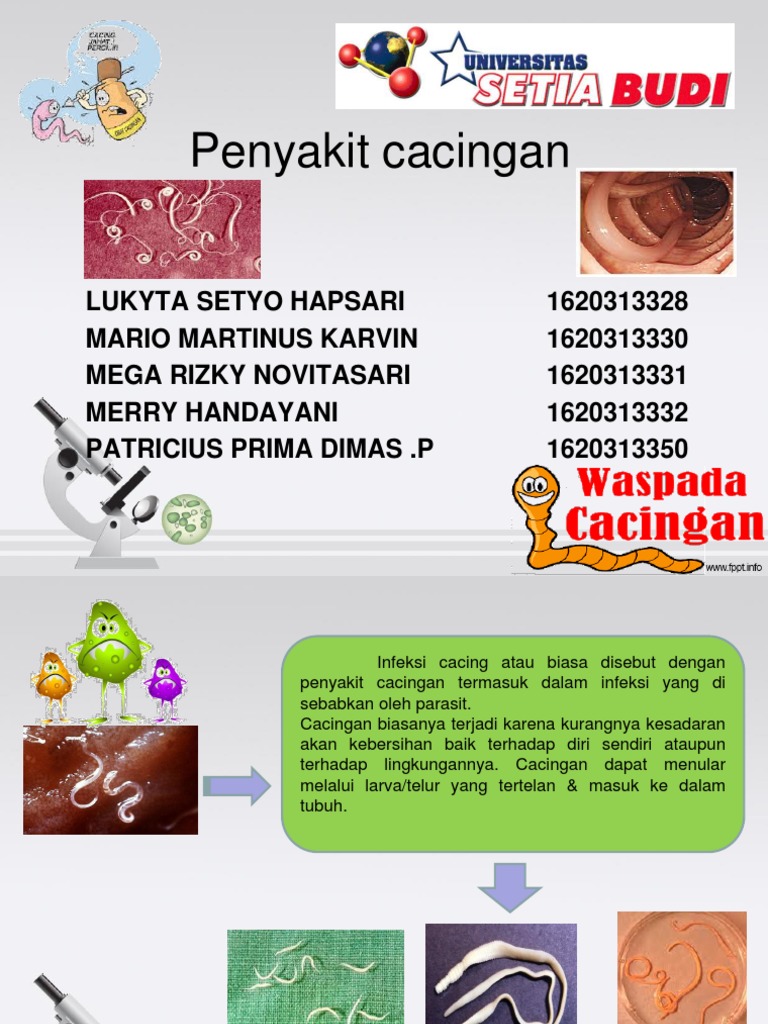 Promkes Cacing | PDF | Kesehatan Holistik