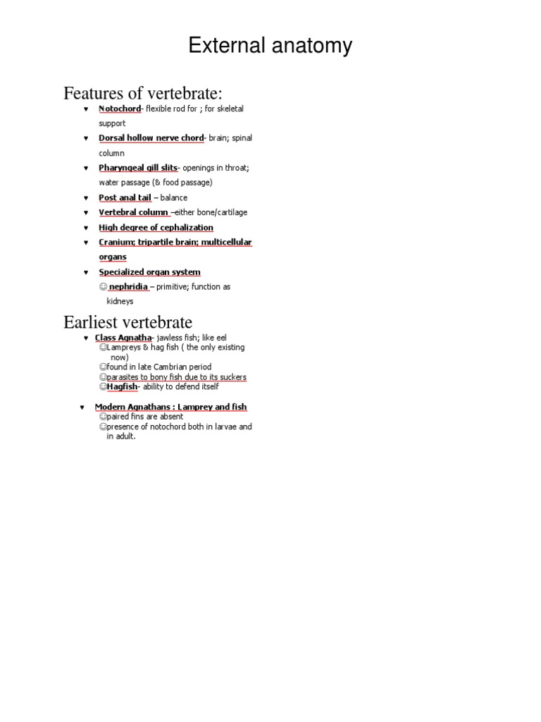 Vertebrate External Anatomy Overview | PDF