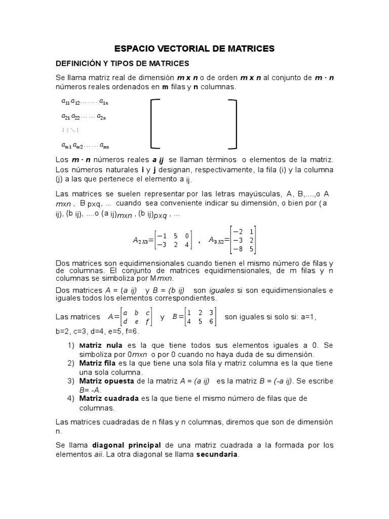 Espacio Vectorial de Matrices | PDF | Matriz (Matemáticas) | Conceptos matemáticos