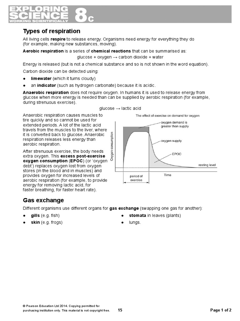 8c Summary Sheets | Breathing | Lung