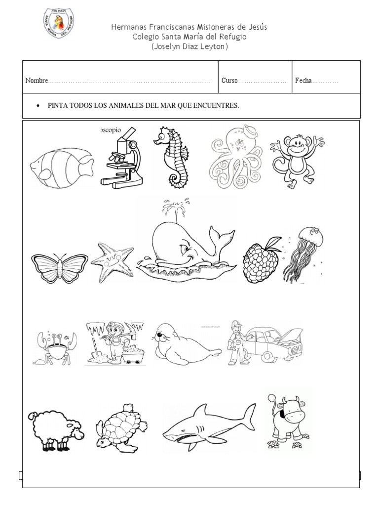 Actividades del Mes del Mar para Niños | PDF
