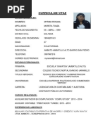 Curriculum Vitae Maria Actualizado | PDF | Tecnología digital | Informática