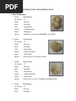 Deskripsi Fosil Foraminifera Besar Satuan Batugamping | PDF