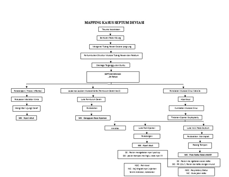 Mapping Kasus Septum Deviasi | PDF