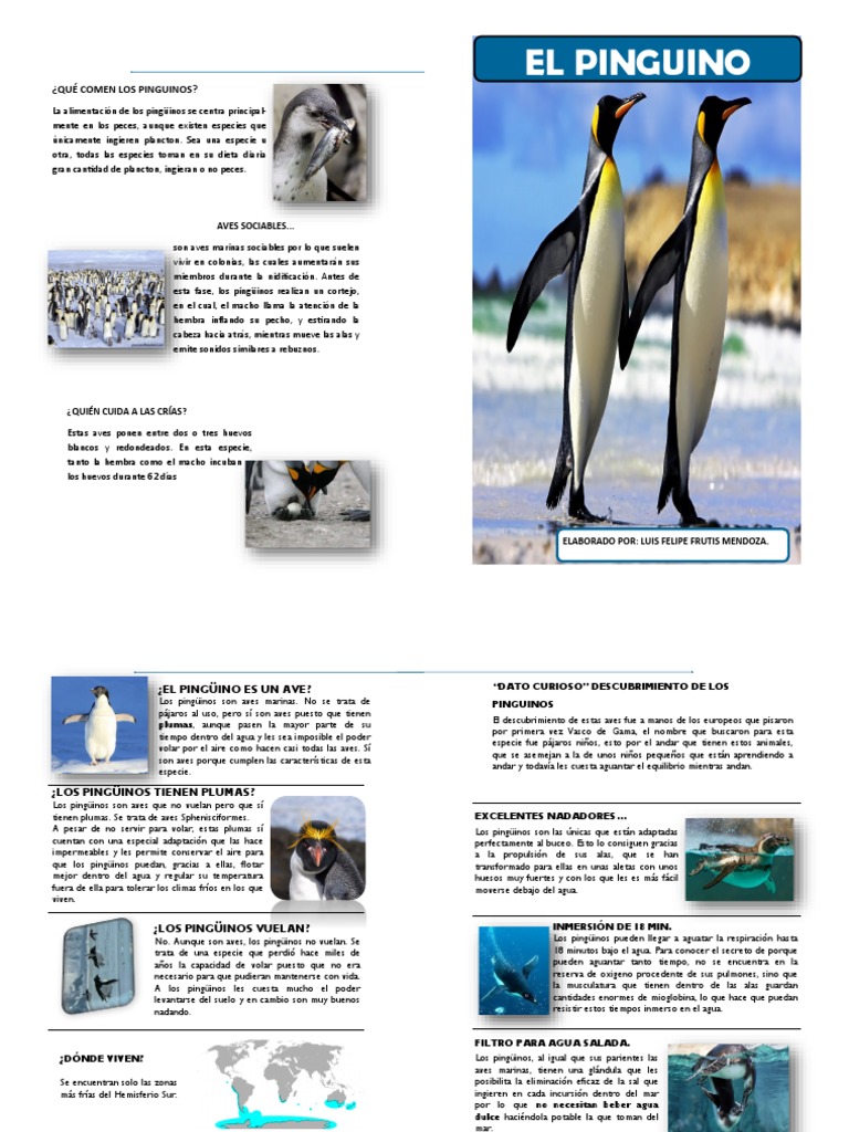 Características y Hábitat de los Pingüinos | PDF | Pingüino | Aves