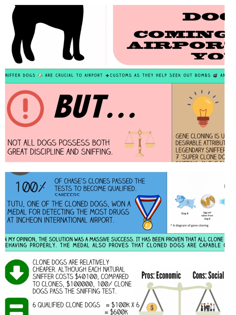 Poster A3 | PDF | Dogs | Biology