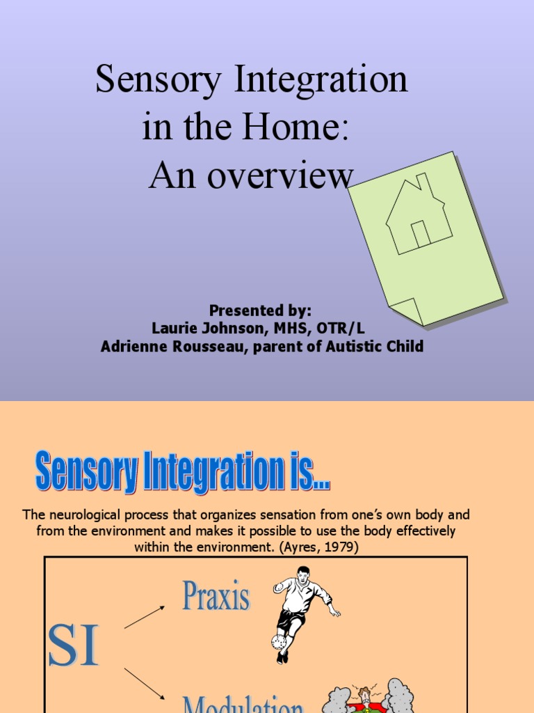 Sensory Integration in The Home: An Overview | PDF | Somatosensory ...