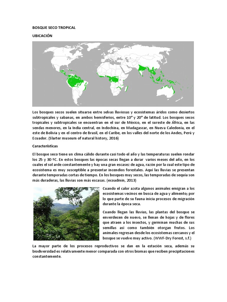Bosque Seco Tropical | PDF | Geografía Física | Ecología