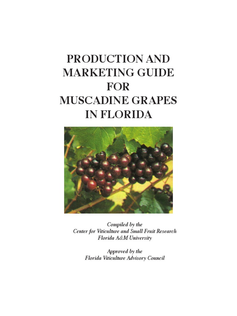 FAMU - Viticulture - Production Guide For Muscadines | PDF | Vineyard ...