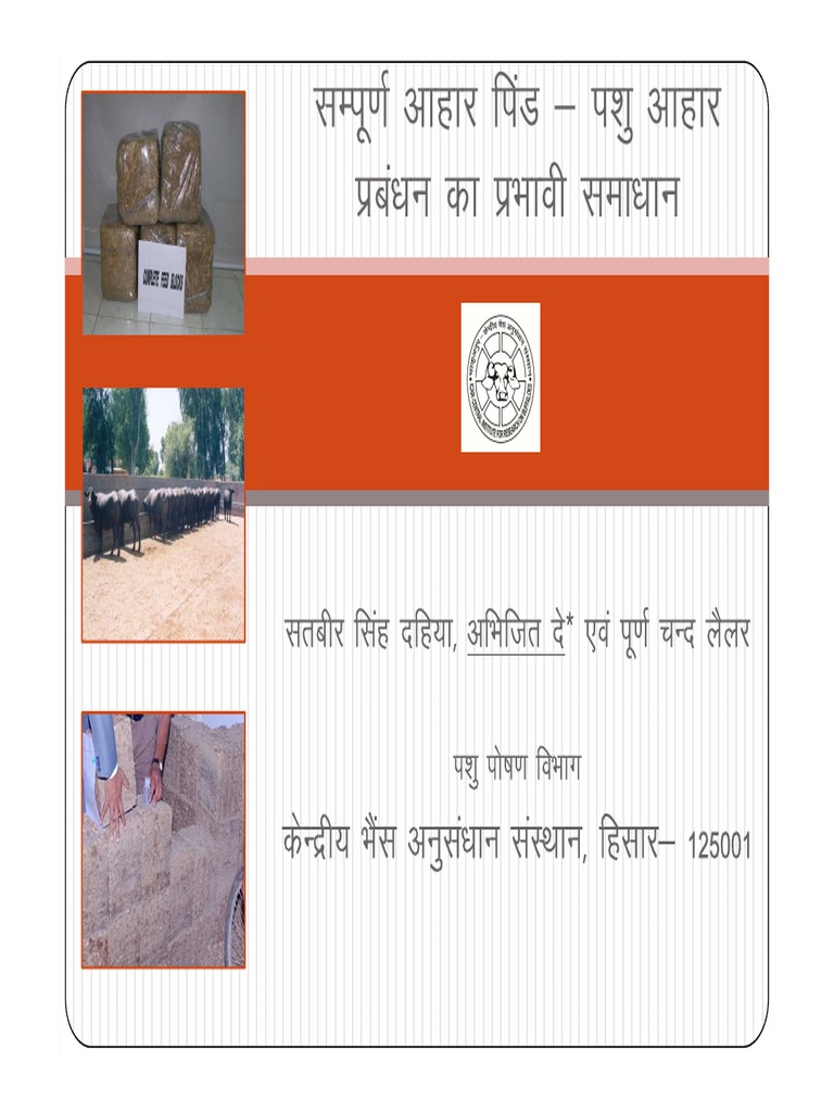 Complete Feed Block - A Solution For Animal Feeding and Management. SS ...