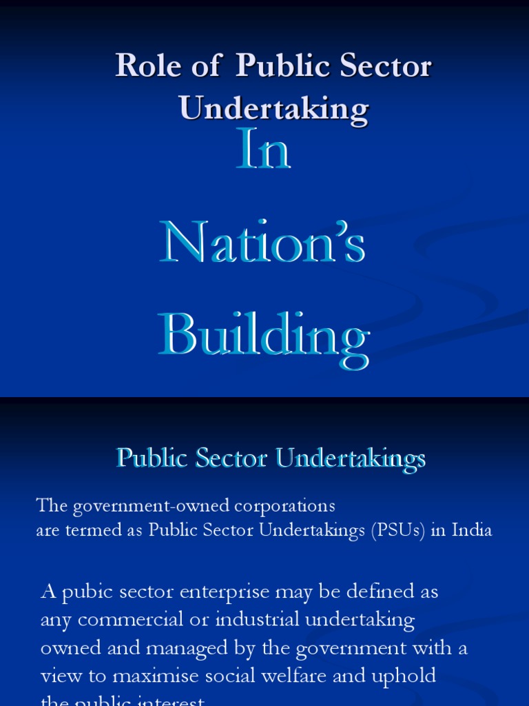 Role of PSUs in Nation Building | PDF | State Owned Enterprise | Government