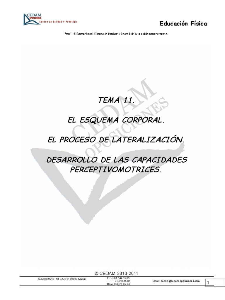 Tema 11 - Esquema Corporal | PDF | Percepción | Músculo