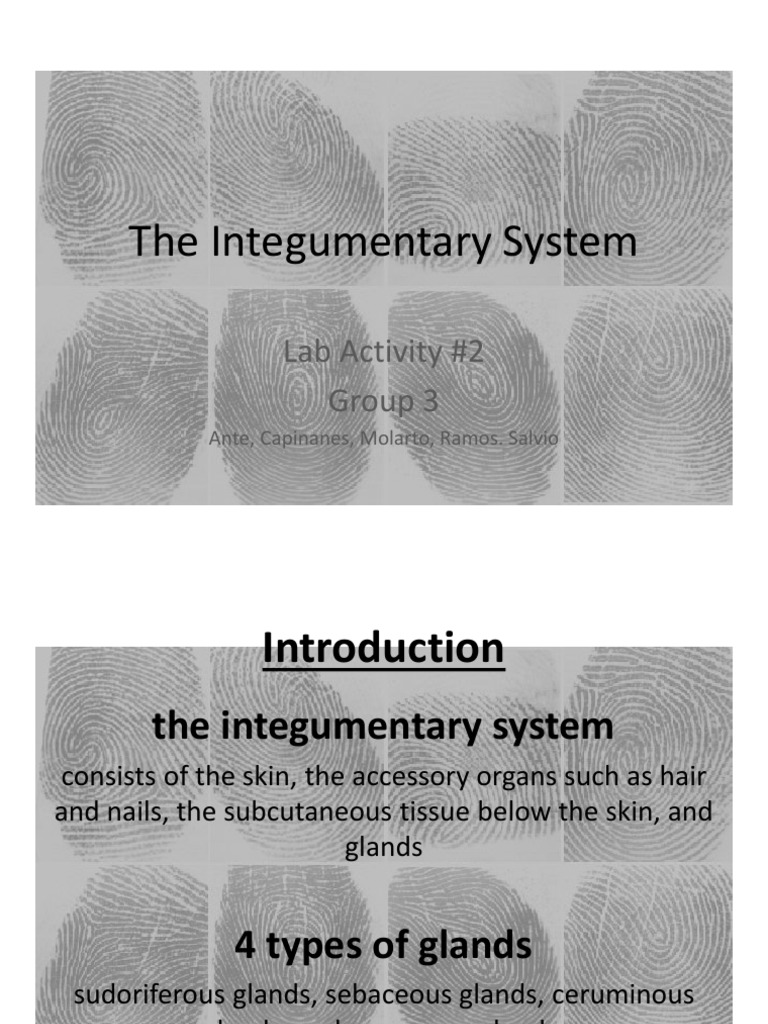 The Integumentary System: Lab Activity #2 Group 3 | PDF | Fingerprint ...