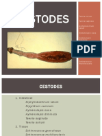 Cestodes (Table) | PDF | Medical Specialties | Diseases And Disorders