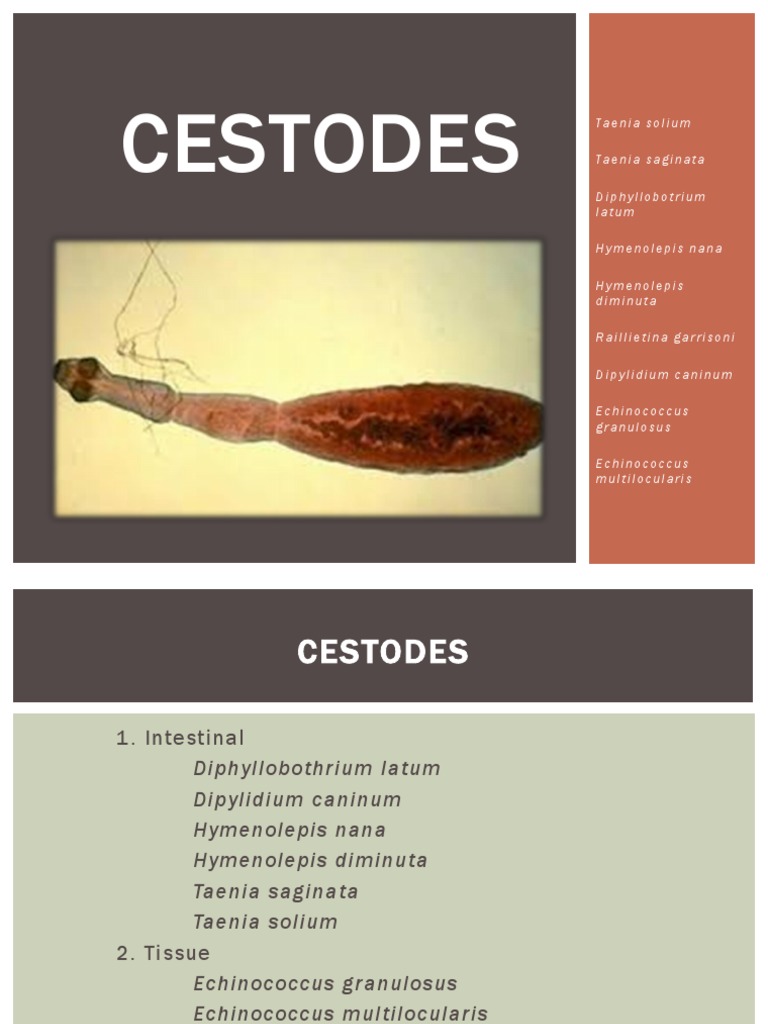 Cestode S | Parasites | Medical