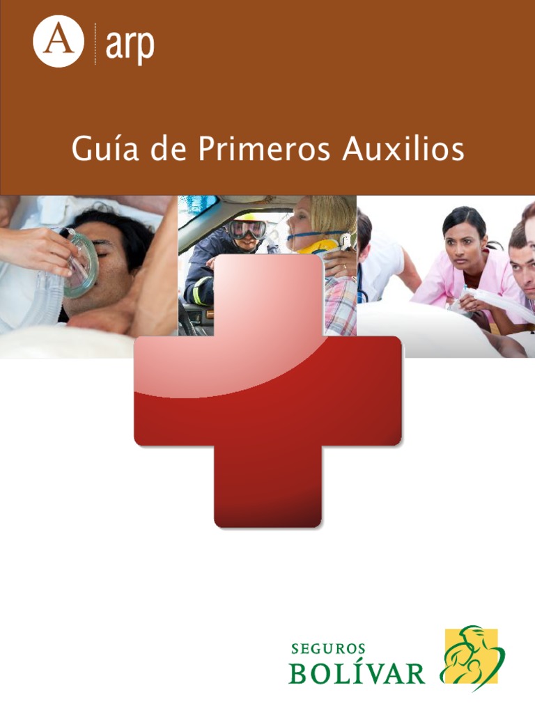 Cartillas de Primeros Auxilios | PDF | Quemar | Reanimación cardiopulmonar